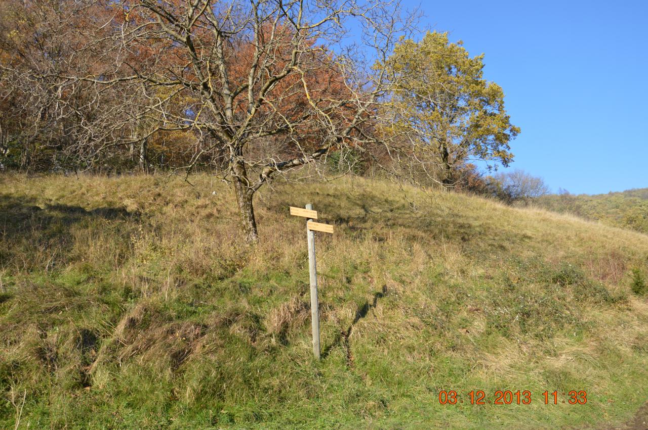 L'OBSERVATOIRE DE SAINT-OURS